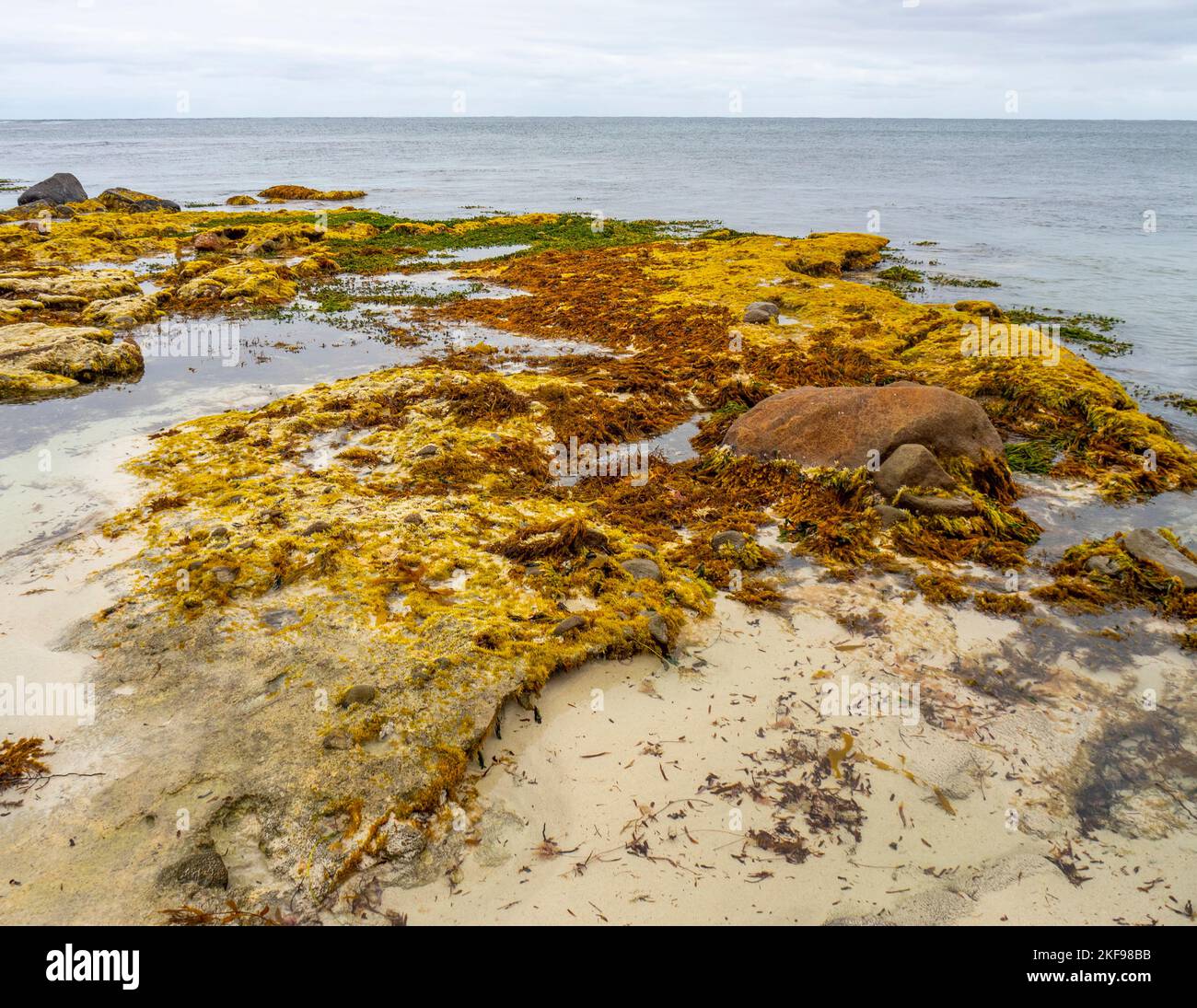 Low tide exposing reefs at Cape Mentelle in Leeuwin-Naturaliste ...