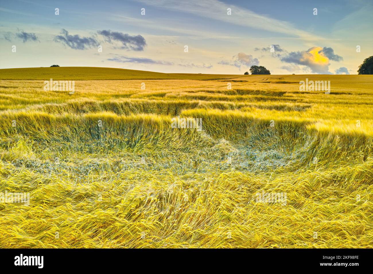 Scenic corn fields hi-res stock photography and images - Alamy