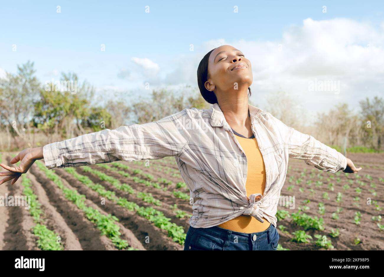 Farmer, freedom and woman feeling carefree and joy on agriculture field ...