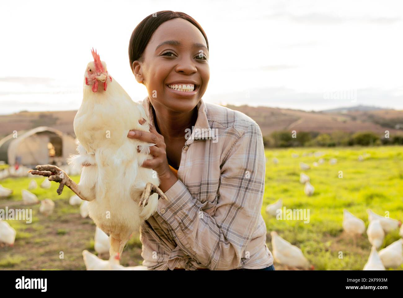 Chicken, farmer and smile in animal farming, agriculture and startup ...