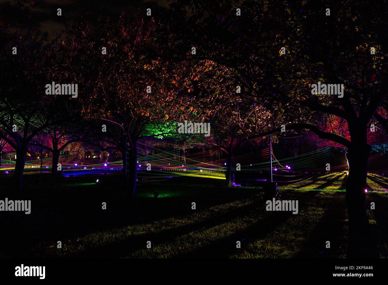 Brooklyn wren hi-res stock photography and images - Alamy