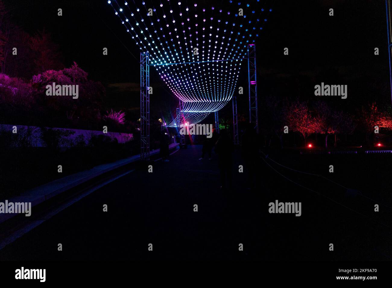 Brooklyn wren hi-res stock photography and images - Alamy