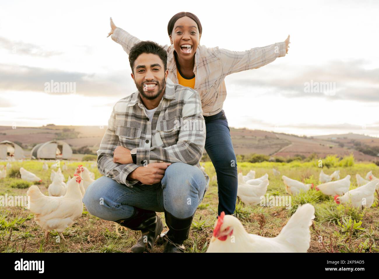 Poultry, chicken and couple farming, freedom with livestock on ...