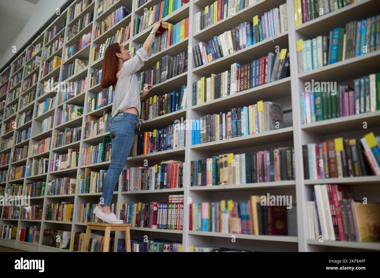 Librarian book shelves hi-res stock photography and images - Alamy