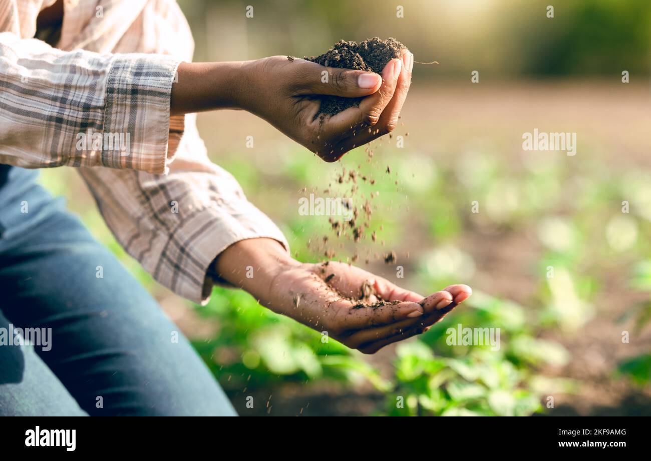 Farming, agriculture and farmer hands with soil for nutrients, healthy plants and growth ...