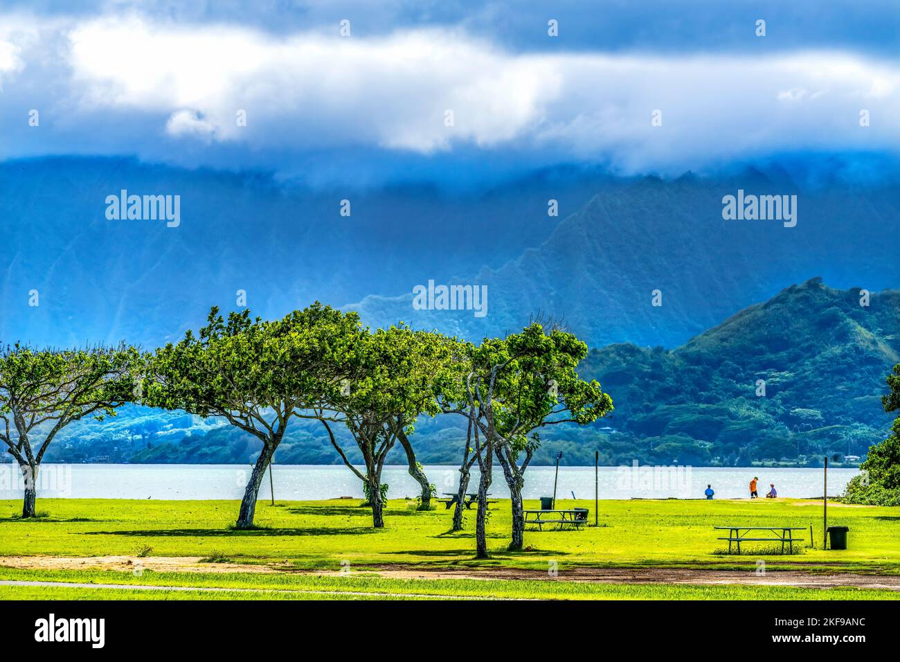 Colorful Trees Ocean Green Mountain Mist Kualoa Regional Park North ...