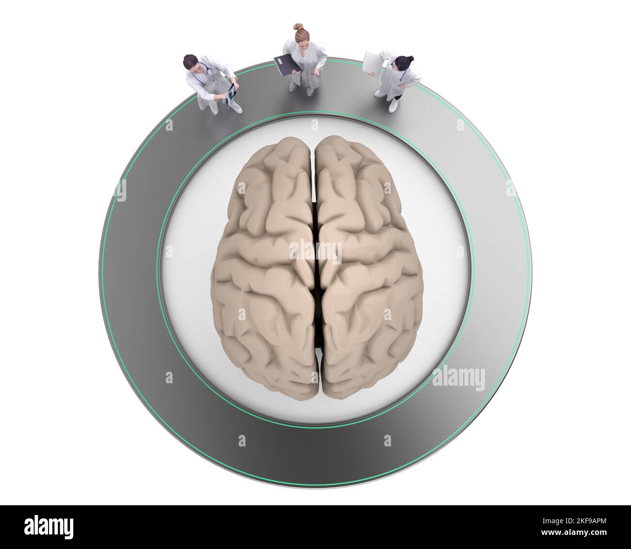 concept of women doctors examining the brain top view. 3d rendering ...