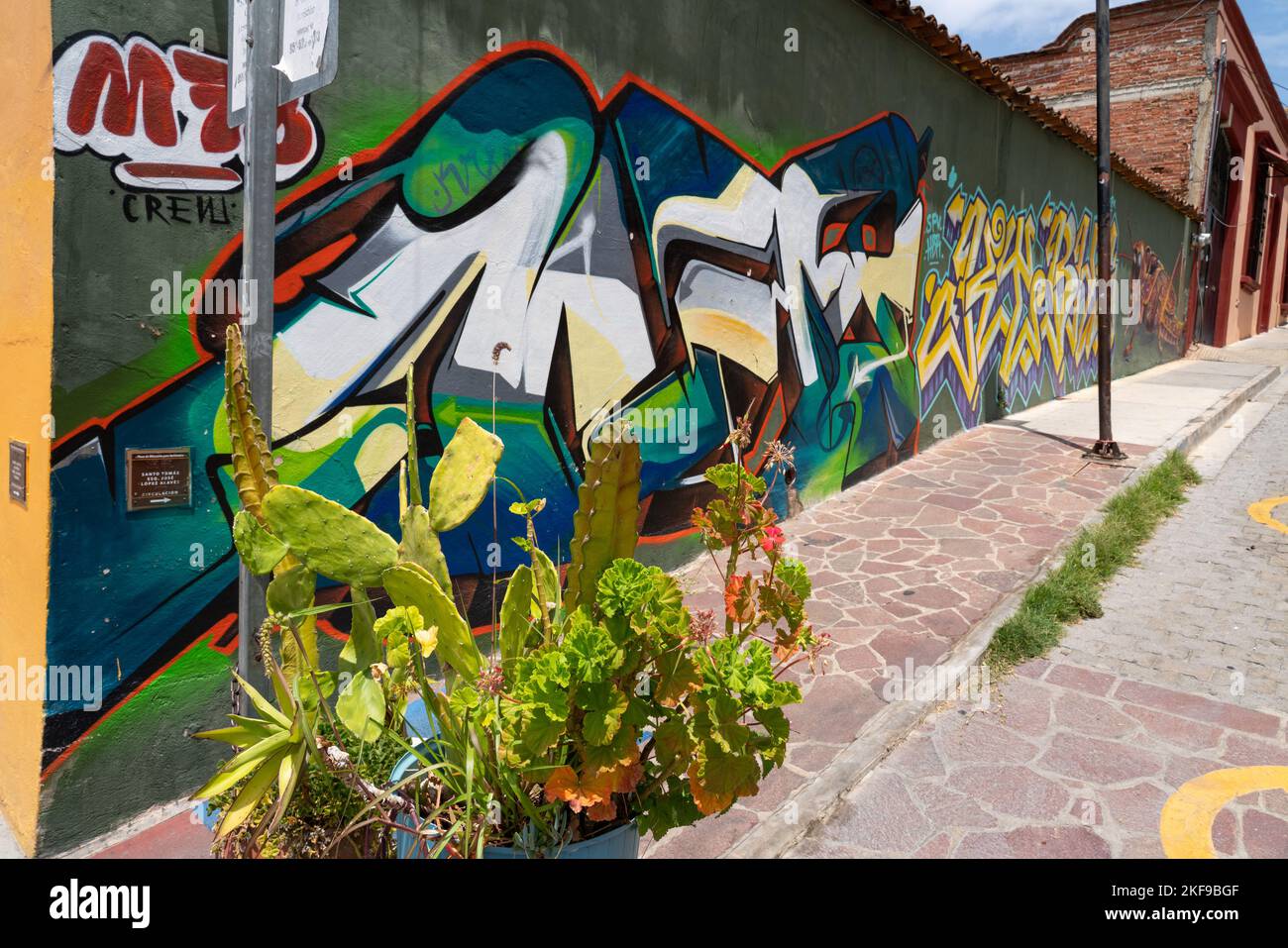 A stylized mural painted on a wall in the Xochimilco District of Oaxaca ...