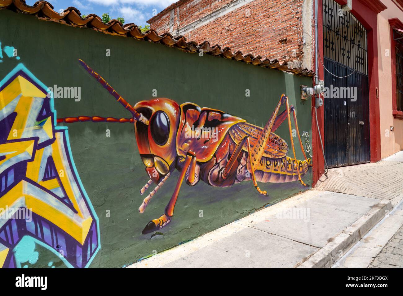 A mural of a grasshopper or chapuline painted on a wall in the ...