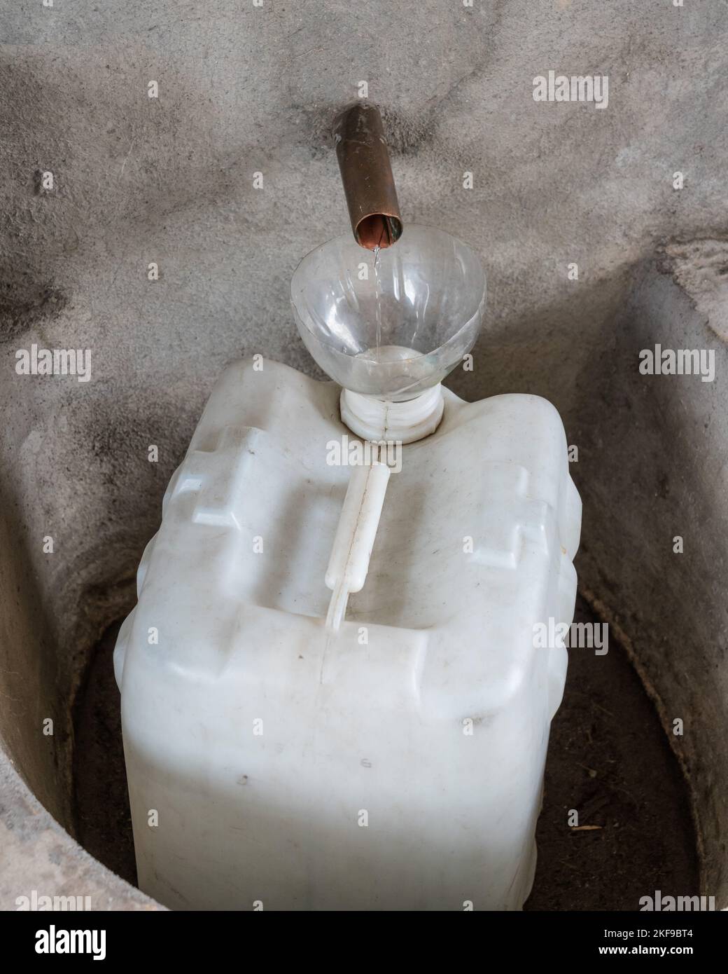 Distilled mezcal trickles from the condensing tube in a still at an ...