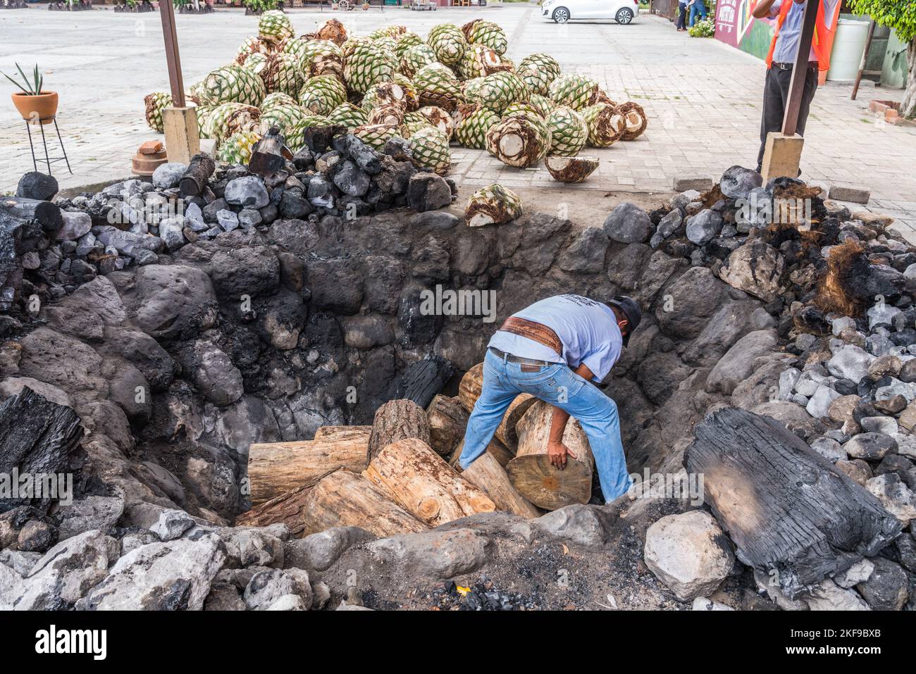 A fire pit or oven for roasting the agave hearts at an artisanal mezcal ...