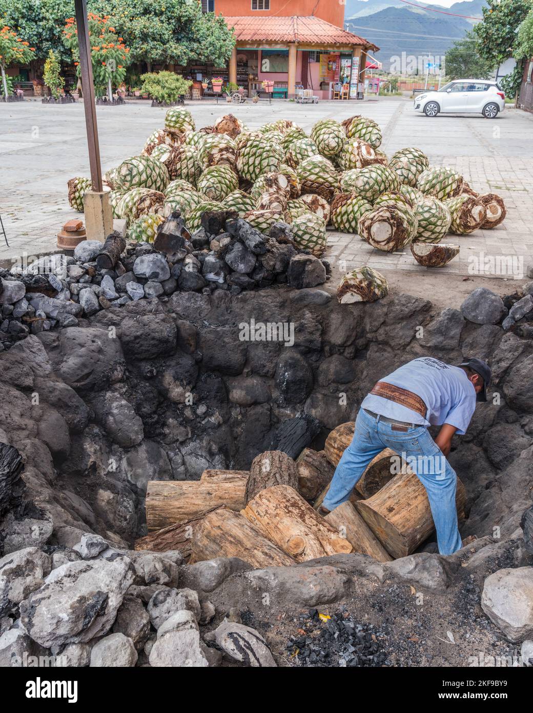 A fire pit or oven for roasting the agave hearts at an artisanal mezcal ...