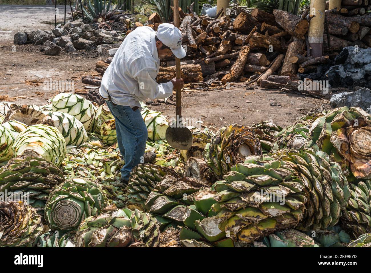 Production of mezcal mexico hi-res stock photography and images - Alamy