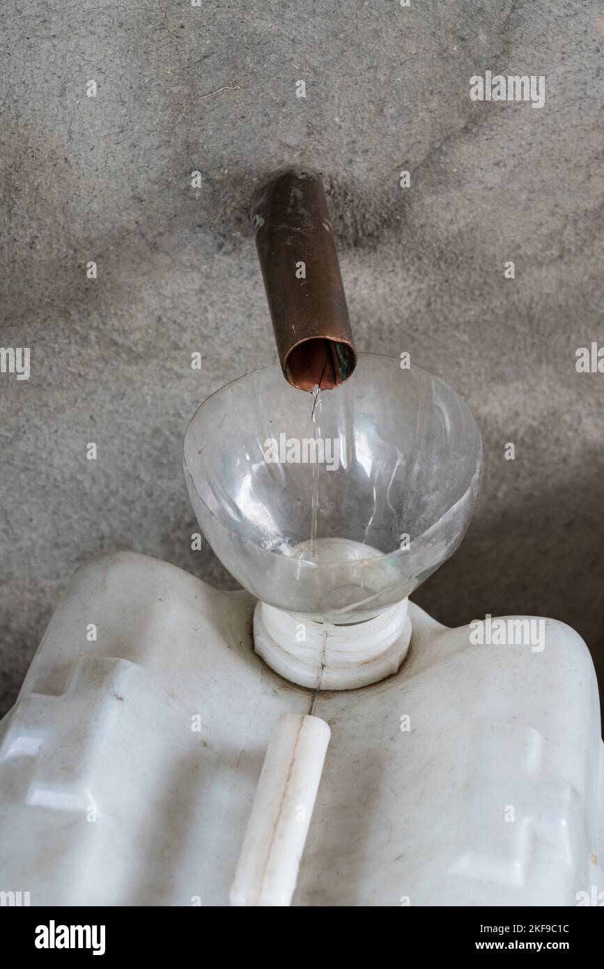 Distilled mezcal trickles from the condensing tube in a still at an ...