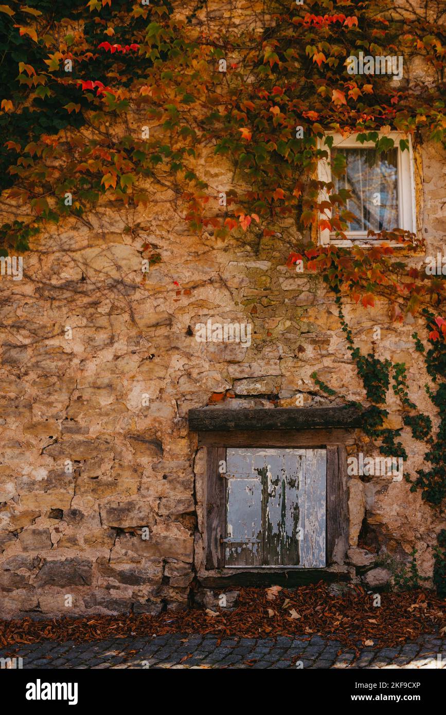 Old vintage rustic German shabby small house with colorful grapevine ...