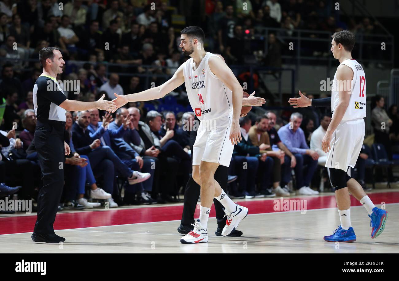 Belgrade, Serbia, 14th November 2022. Dusan Ristic of Serbia reacts ...