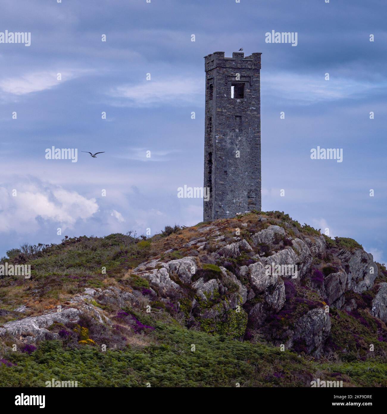 Signal Tower, Rock Island, Cork, Ireland Stock Photo - Alamy