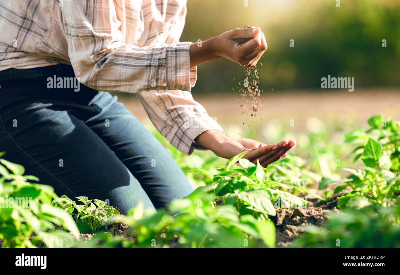 Agriculture, soil and farmer hands with environment, ecology and green ...