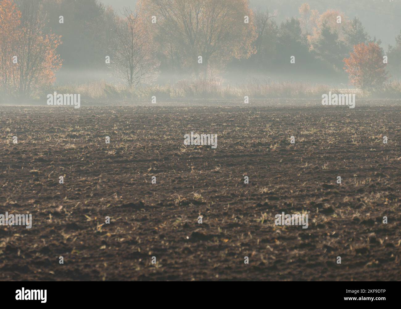 Drifting leaf hi-res stock photography and images - Alamy
