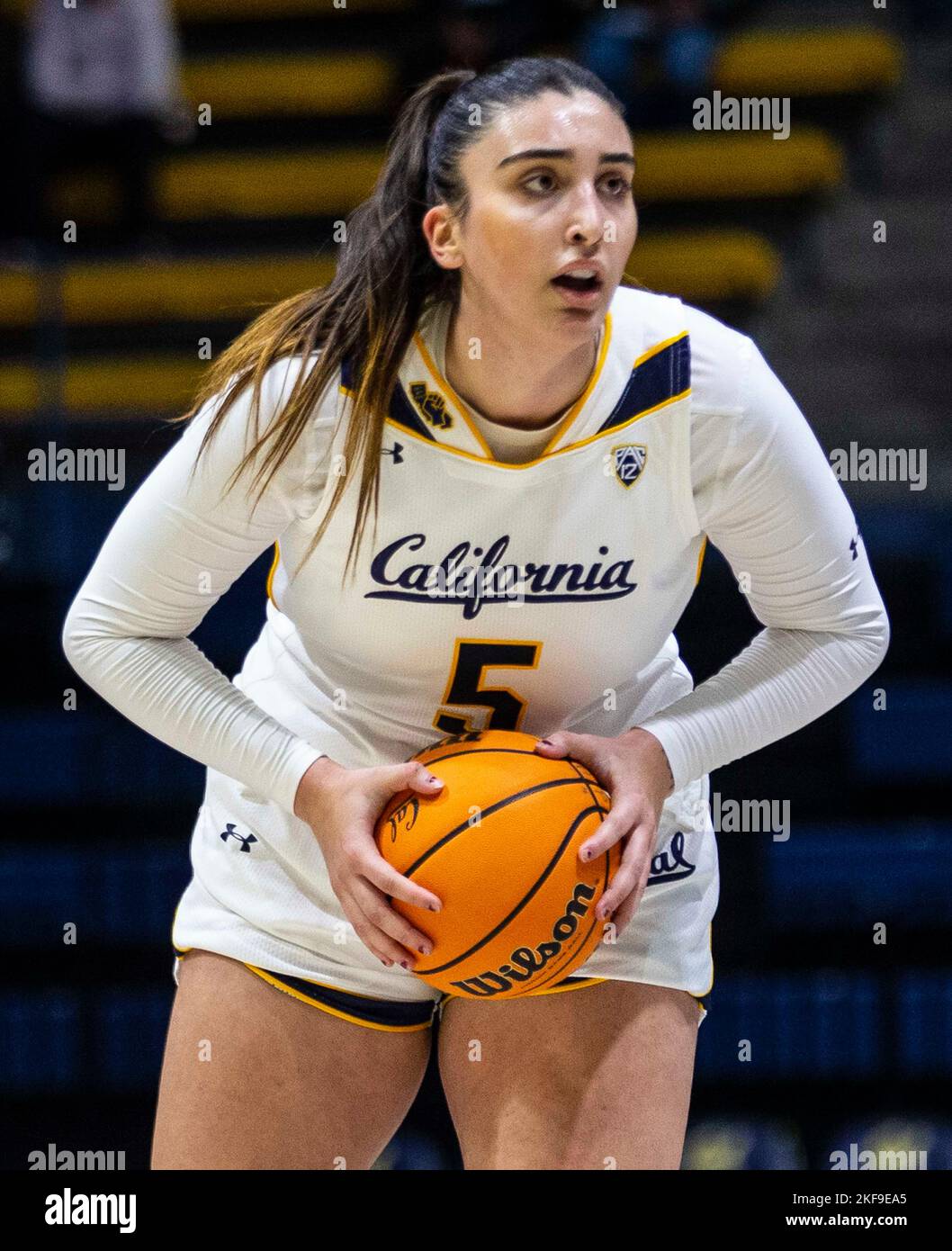 2022 0478 jpg hi-res stock photography and images - Alamy