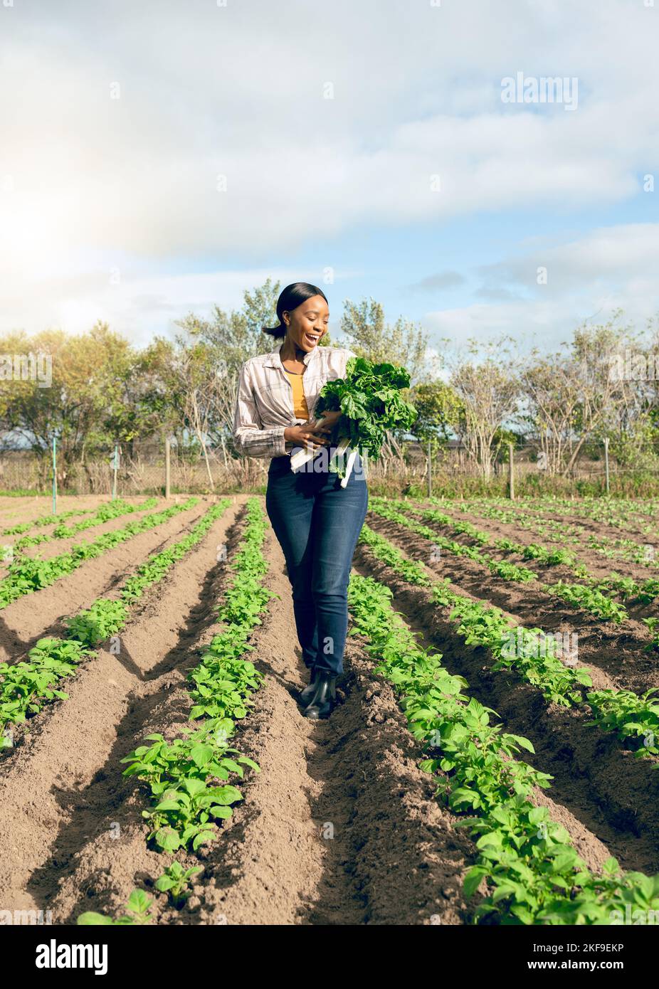 Happy woman, spinach agriculture and nature harvest, gardening ...