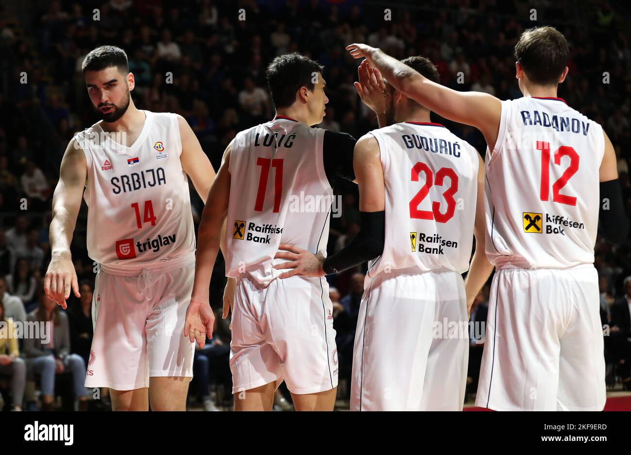 Belgrade, Serbia, 14th November 2022. Dusan Ristic of Serbia reacts ...