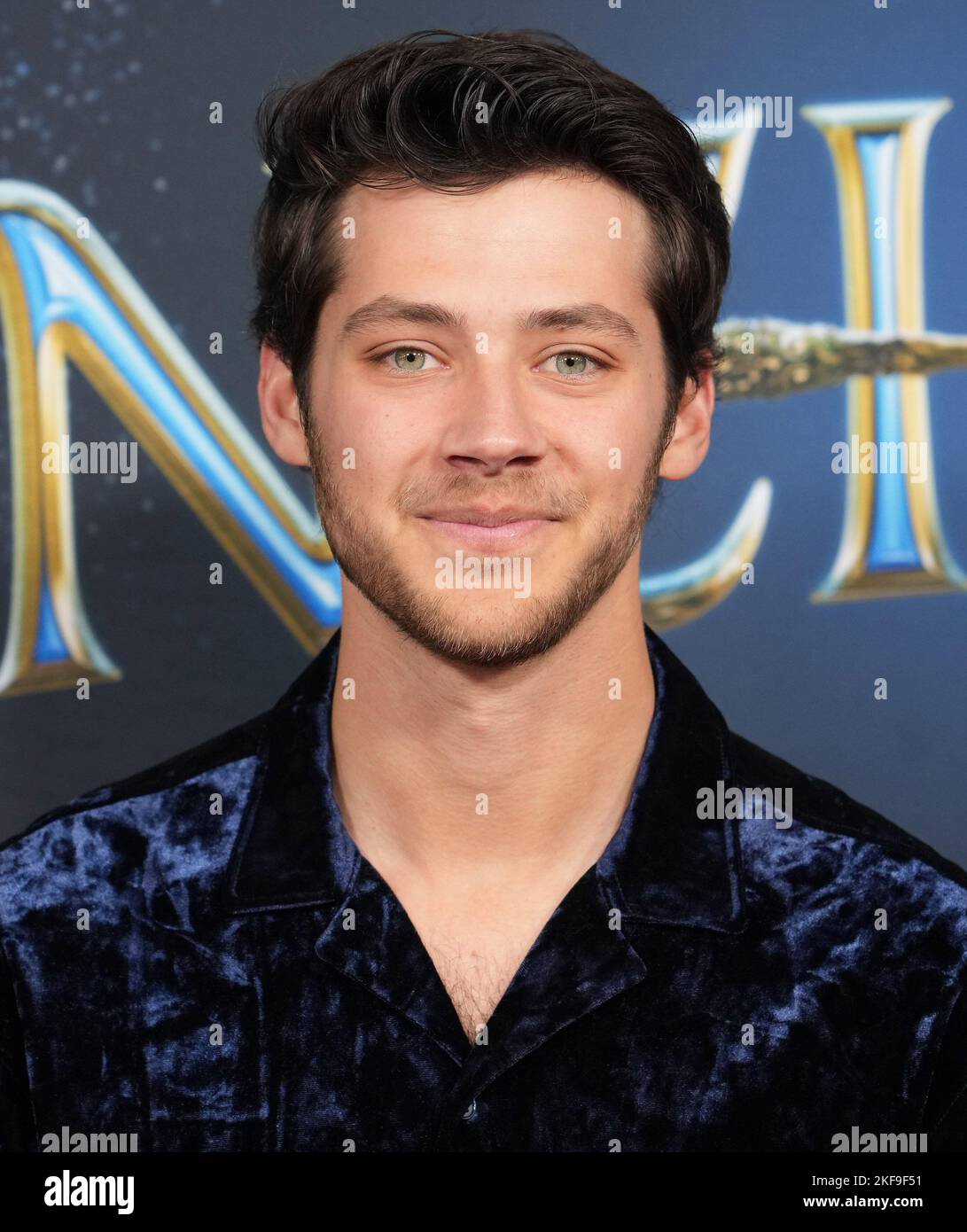 Matt Cornett arrives at the Disney's DISENCHANTED Premiere held at the ...