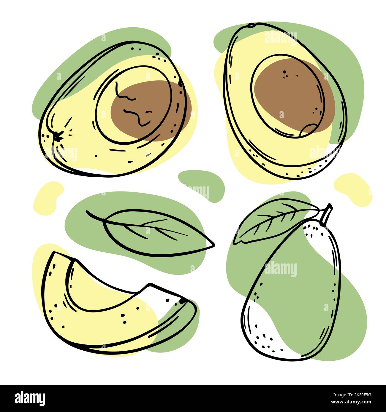 AVOCADO FRUIT Delicious Tropical Fruit Whole And Slices With Leaves For ...