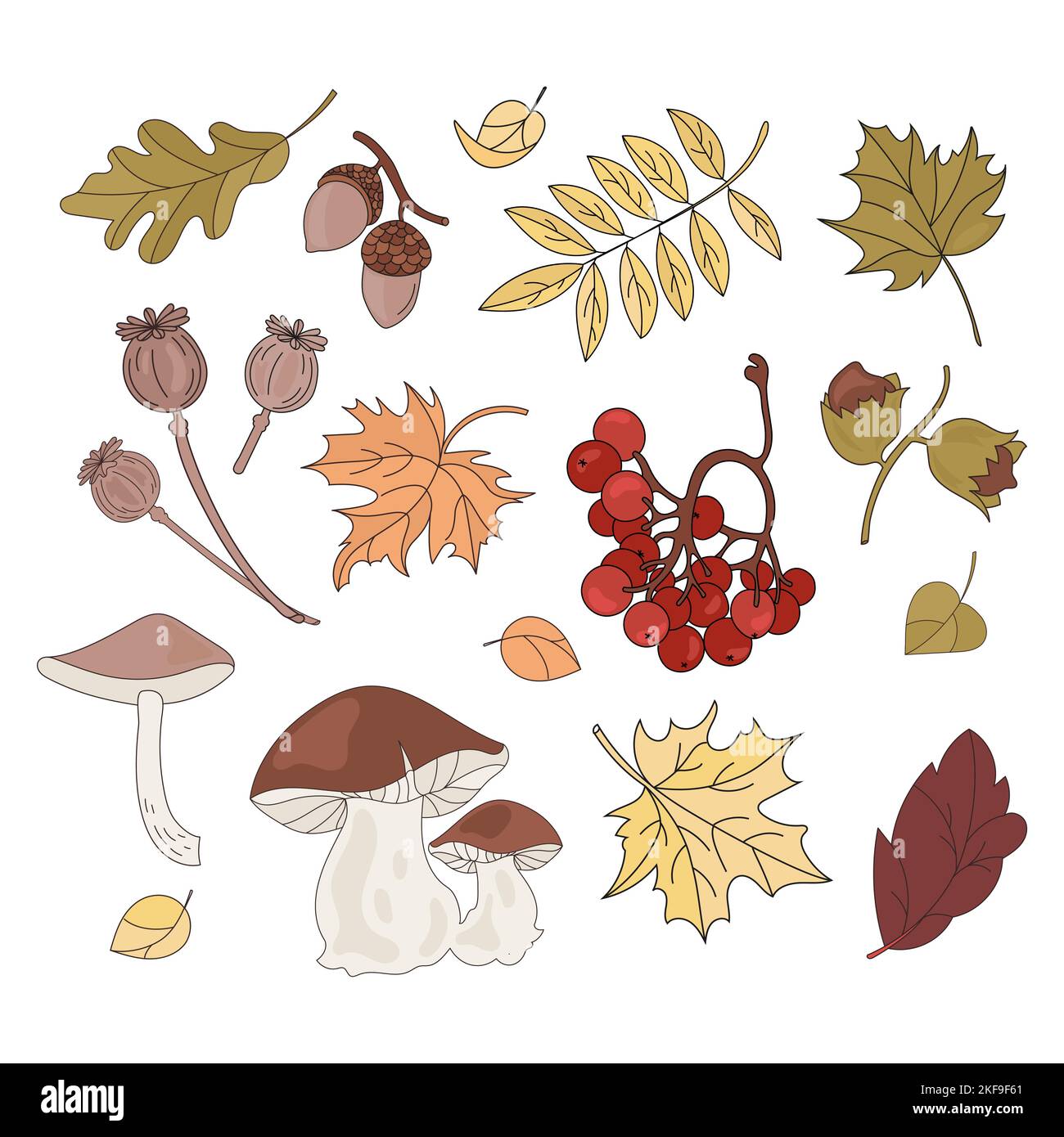 AUTUMN TREASURE Fall Season Nature Vector Illustration Set For Print ...