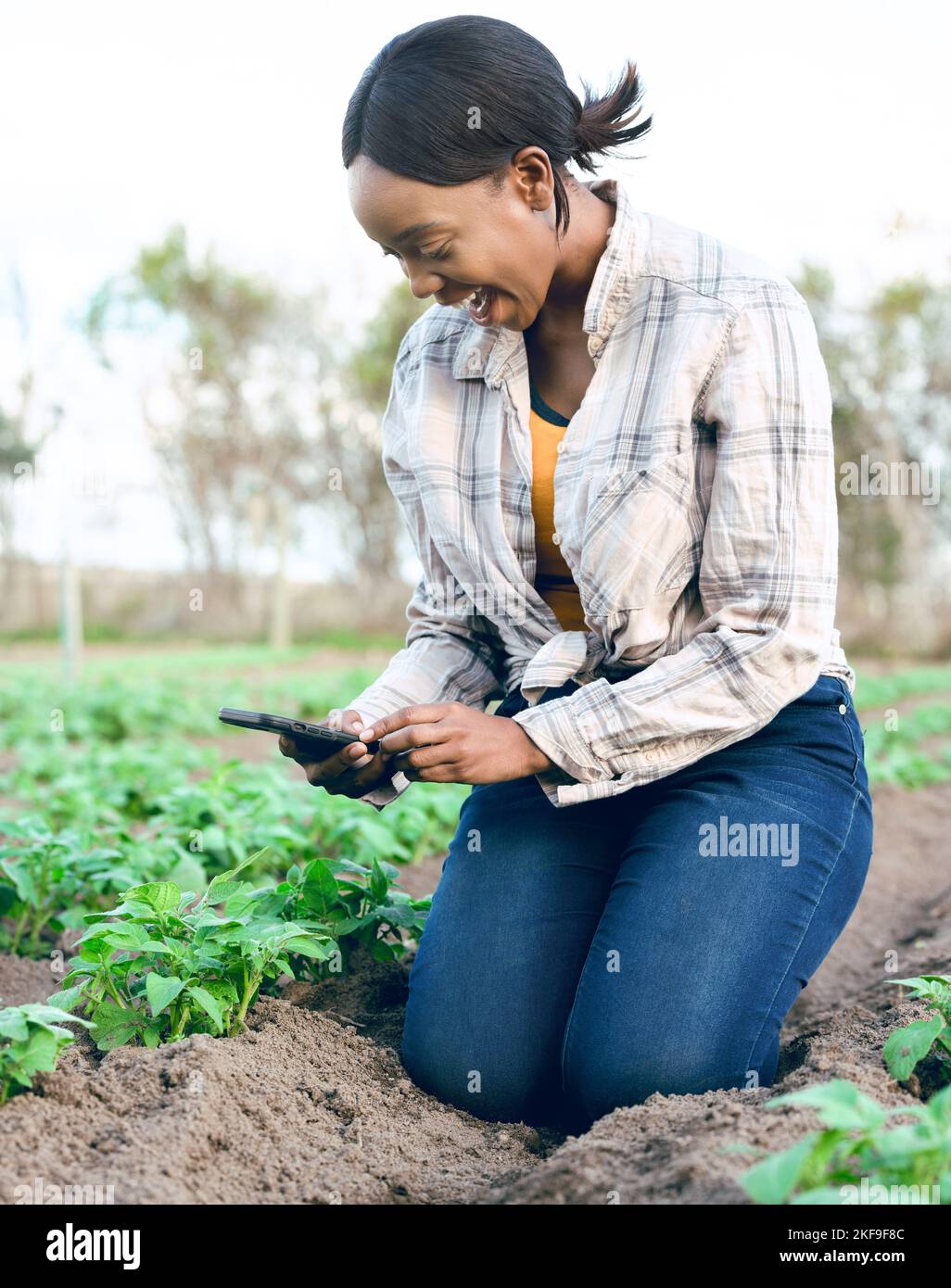 Farm, phone and photo with a woman farmer taking a picture of her ...