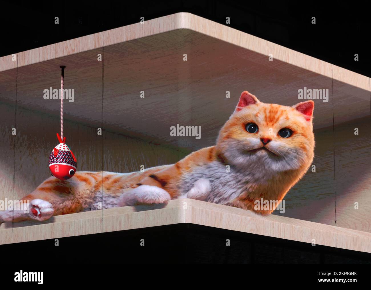 The night views of the autostereoscopy screen draw people's attention ...