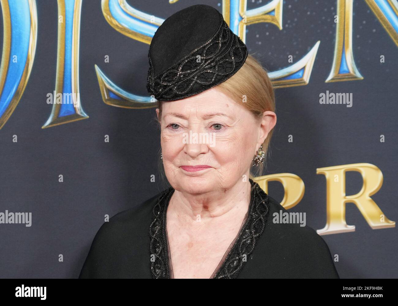 Los Angeles, USA. 16th Nov, 2022. Joan Bergin arrives at the Disney's ...