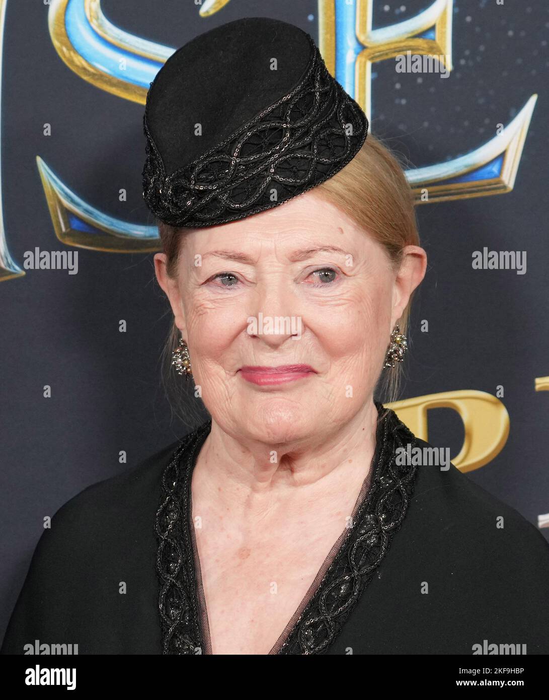 Los Angeles, USA. 16th Nov, 2022. Joan Bergin arrives at the Disney's ...