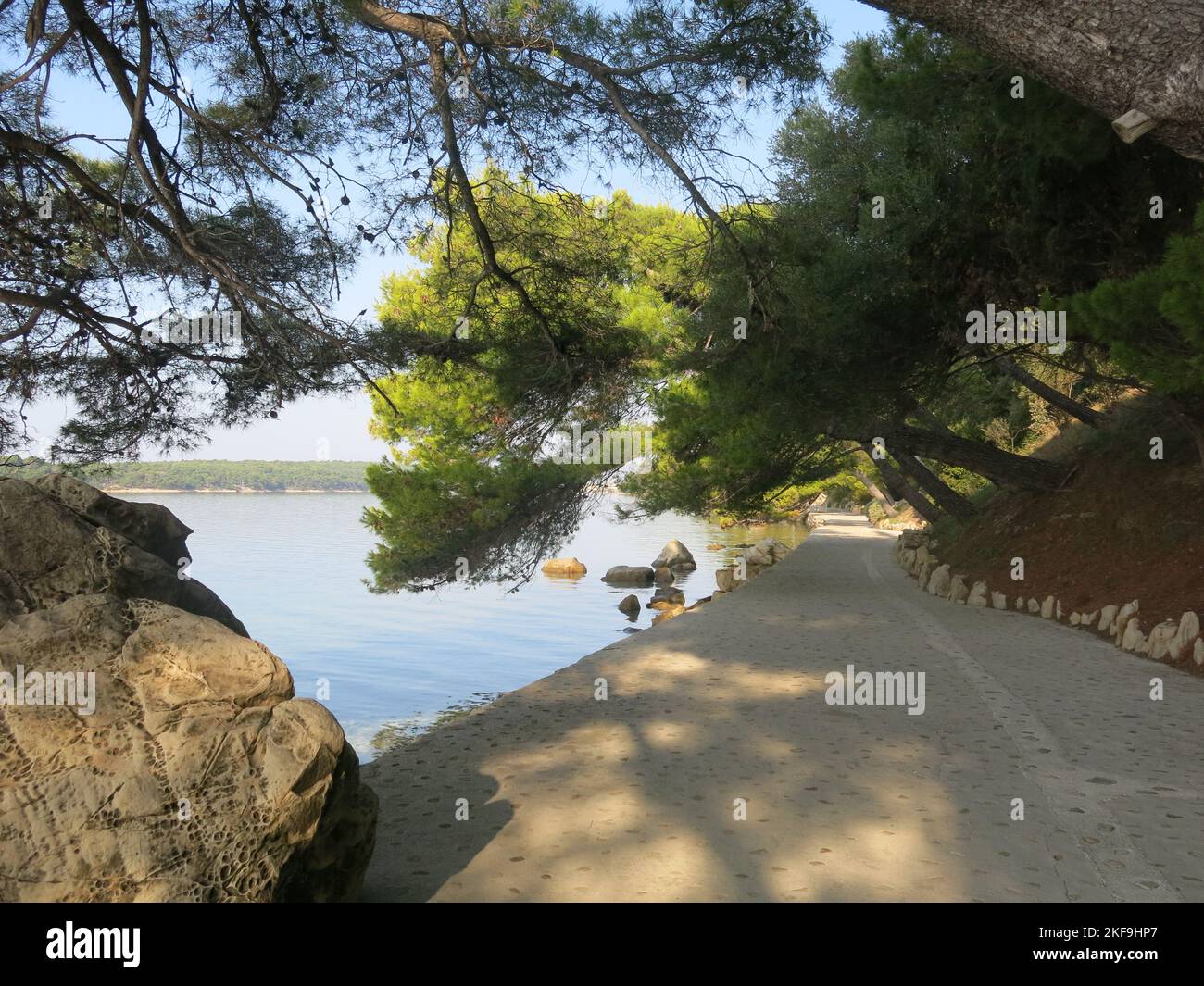 Setaliste fra odorika badurine hi-res stock photography and images - Alamy