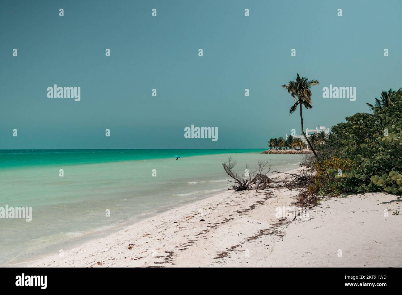 A landscape of a beach surrounded by the sea and greenery on a gloomy ...