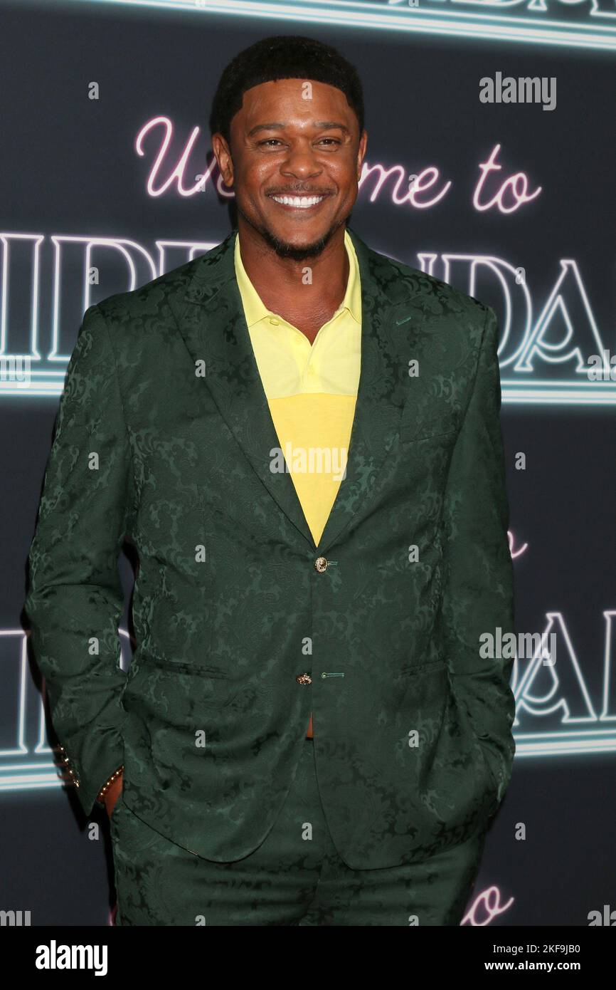 LOS ANGELES - NOV 15: Pooch Hall at the Welcome to Chippendales ...