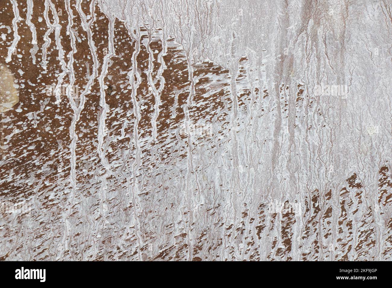 White color paint texture and background, abstract paint on the wall ...