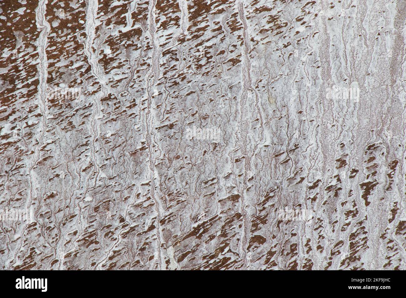 White color paint texture and background, abstract paint on the wall ...