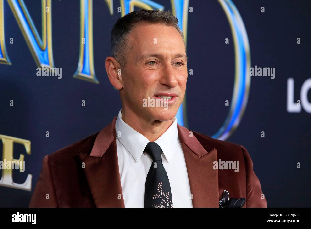LOS ANGELES - NOV 16: Adam Shankman at the Disenchanted Premiere at El ...
