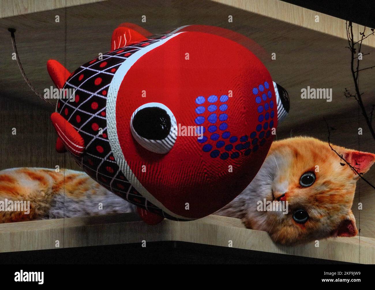 The night views of the autostereoscopy screen draw people's attention ...