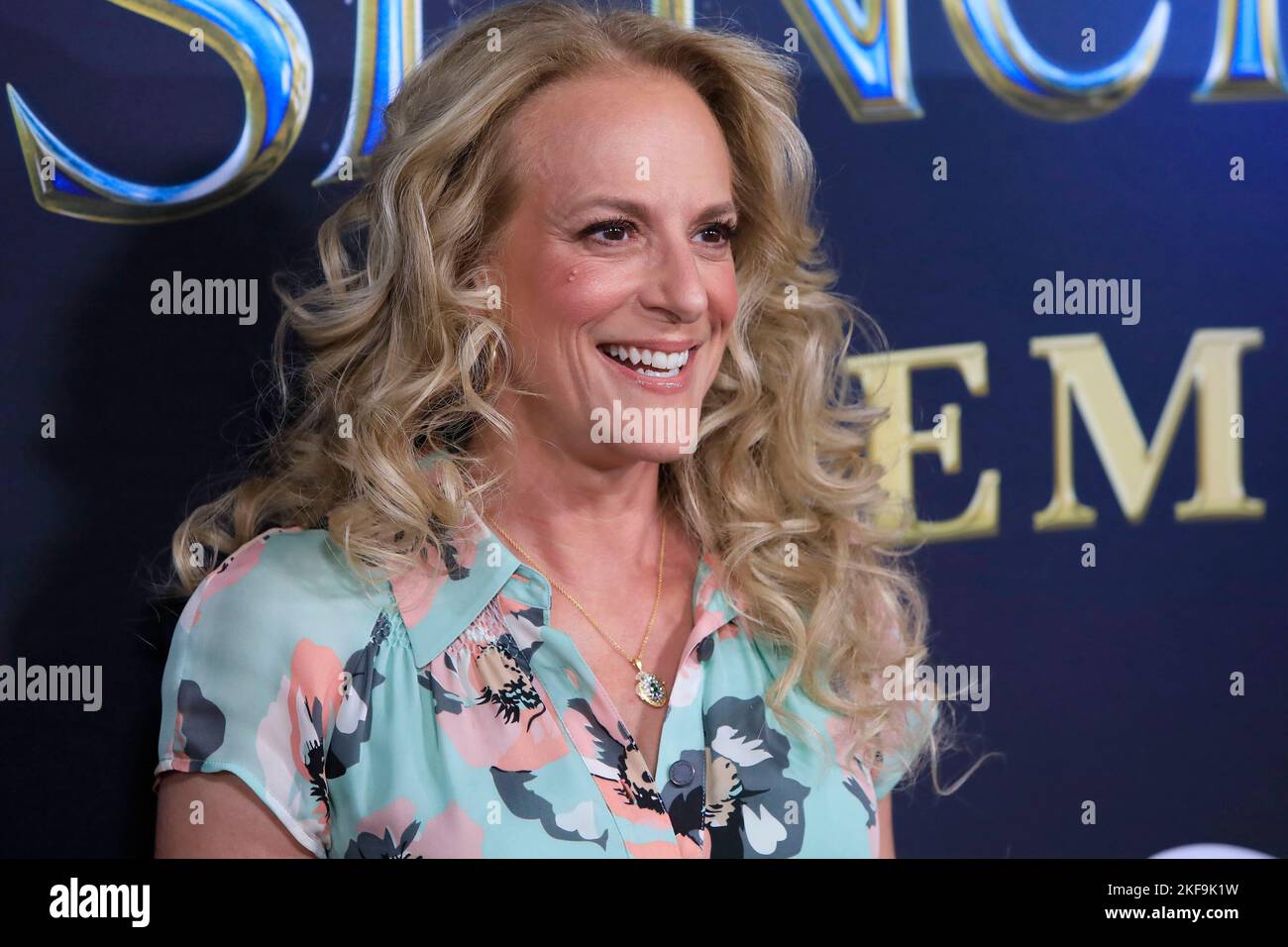 LOS ANGELES - NOV 16: Anne Fletcher at the Disenchanted Premiere at El ...