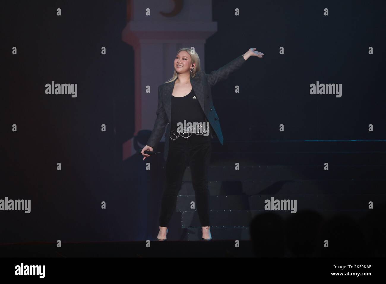 Hong Kong Canadian singer and actress Joyce Cheng held a live concert ...