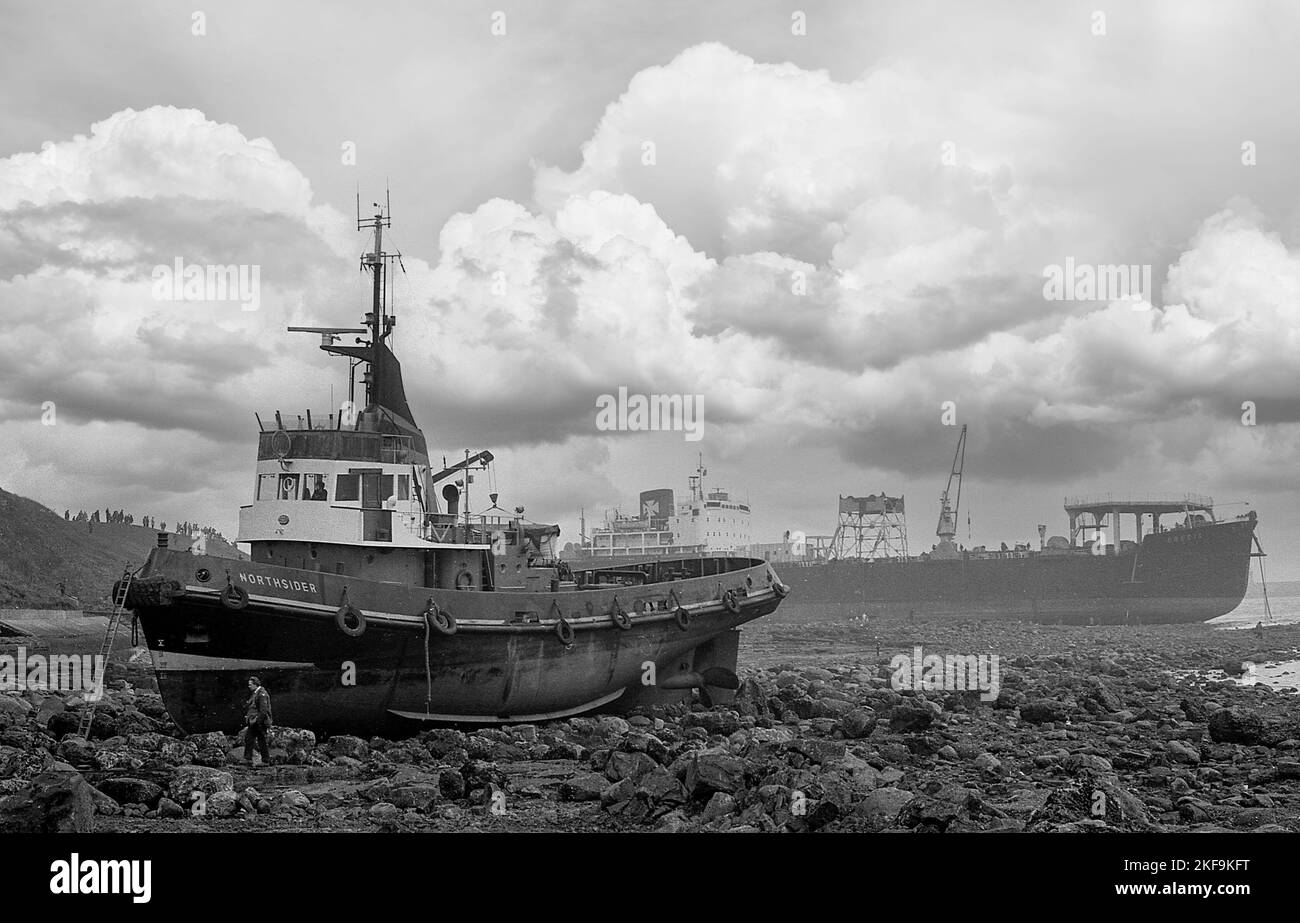 Northsider, tug and Oregis aground on Black Middens rocks Tynemouth, UK ...