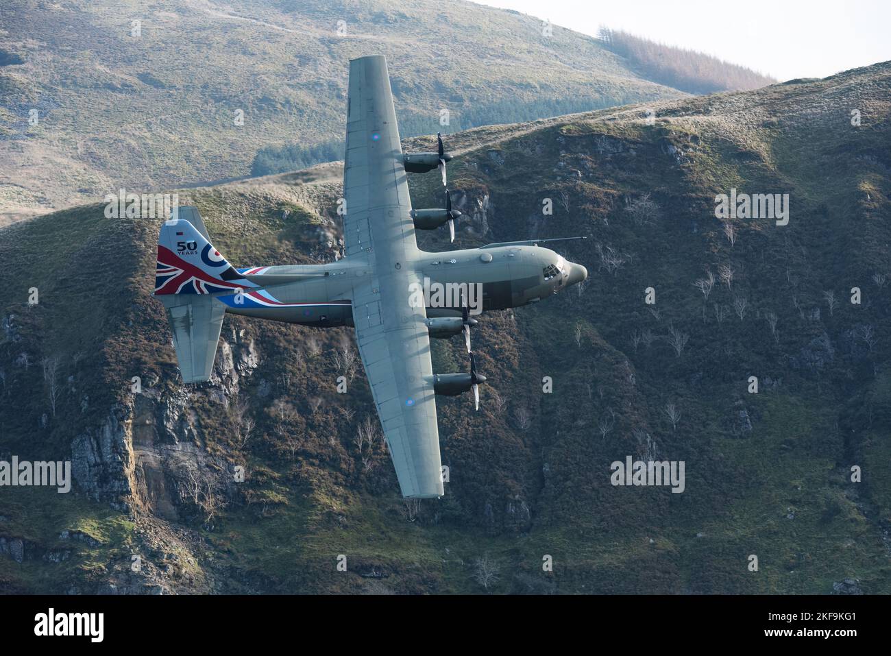 Special tail edition, 50 years anniversary of the Royal Air Force Stock ...