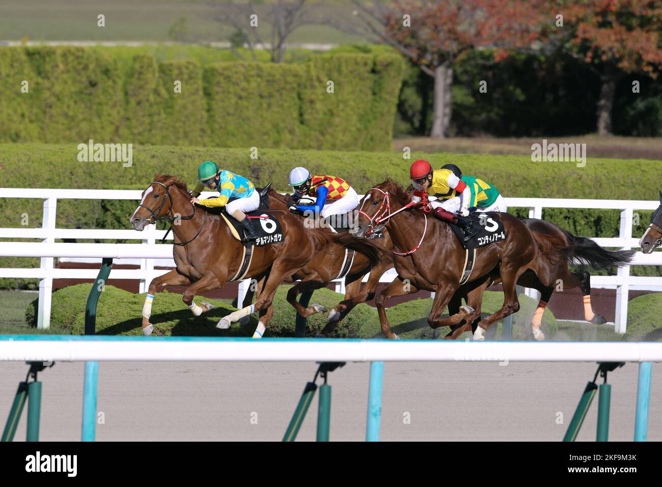 Hyogo, Japan. 6th Nov, 2022. Derma Sotogake and Fuma Matsuwaka win the ...