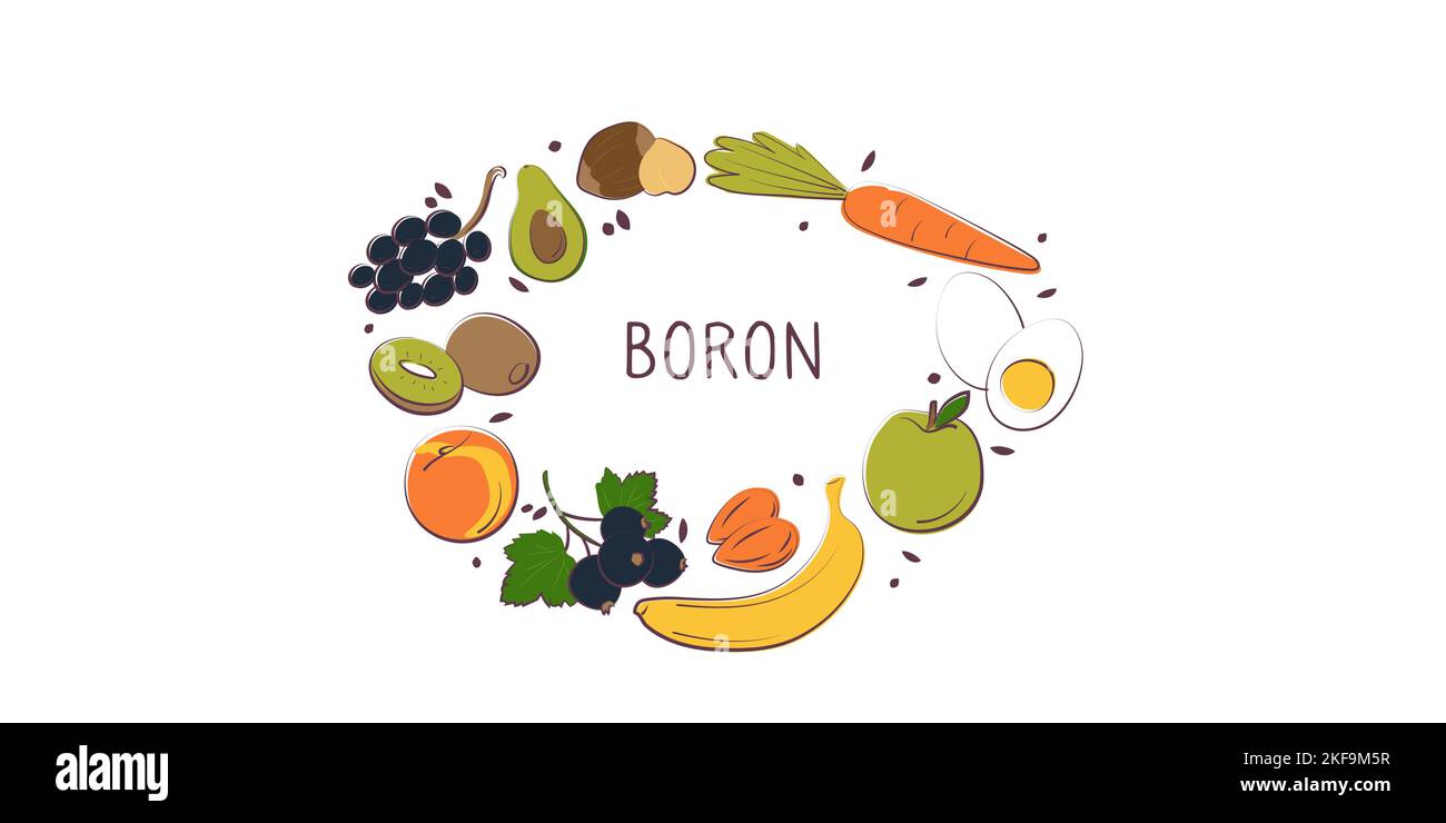 Boron-containing food. Groups of healthy products containing vitamins ...