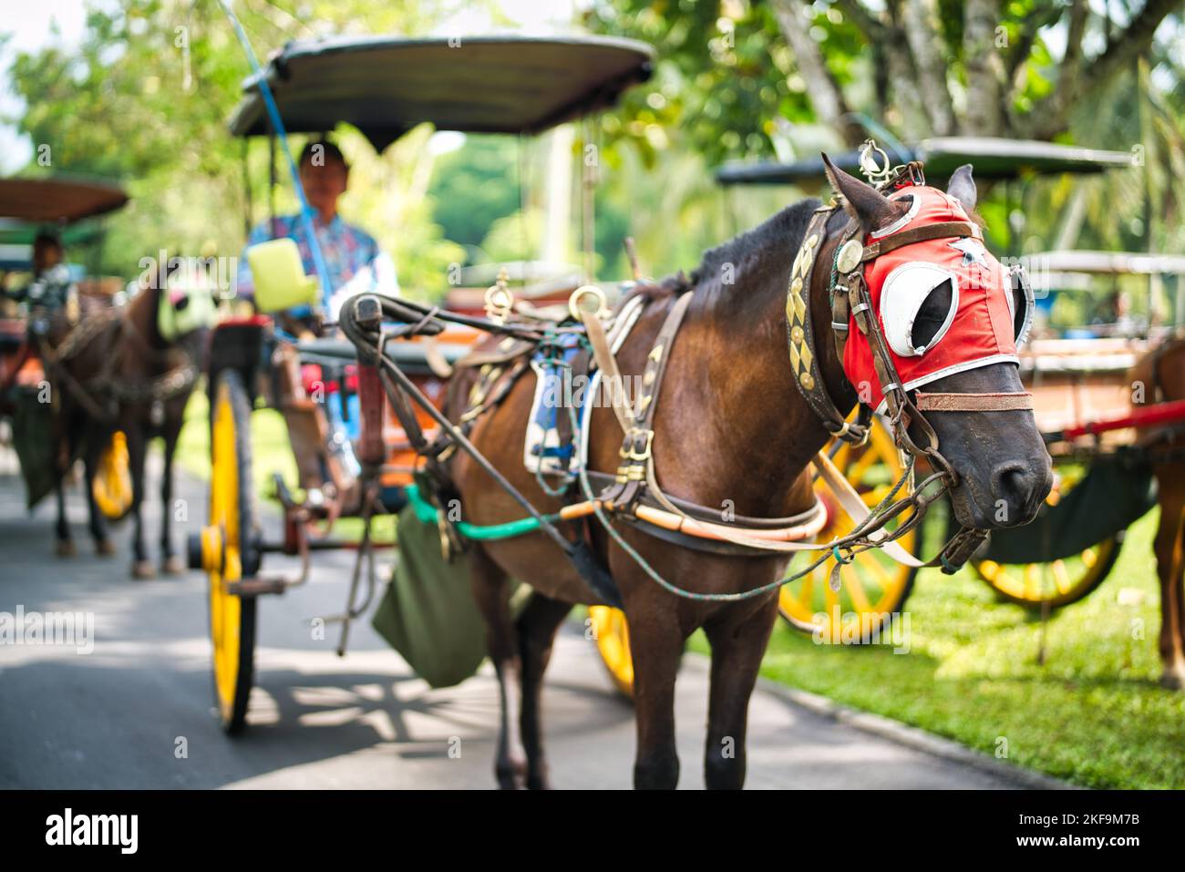 Horse drawn carriage in indonesia hi-res stock photography and images ...
