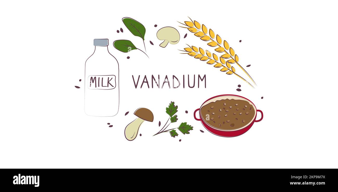 Vanadium-containing food. Groups of healthy products containing ...