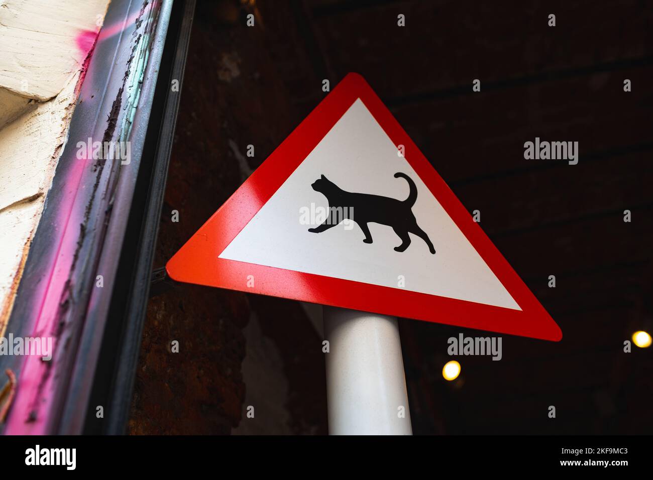 Cat protection and safety street sign in Istanbul Stock Photo - Alamy