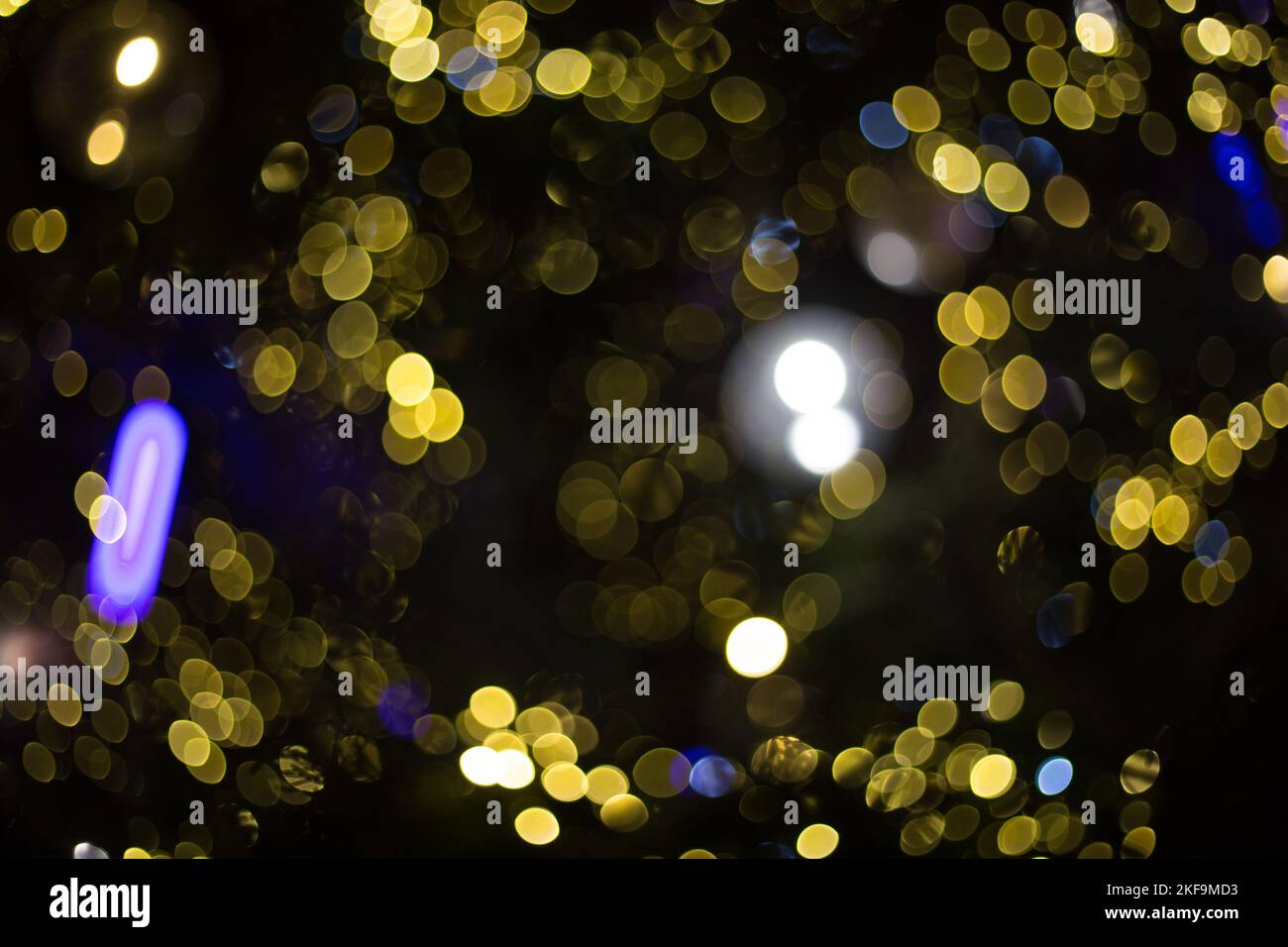 Cat eye shine night hi-res stock photography and images - Alamy